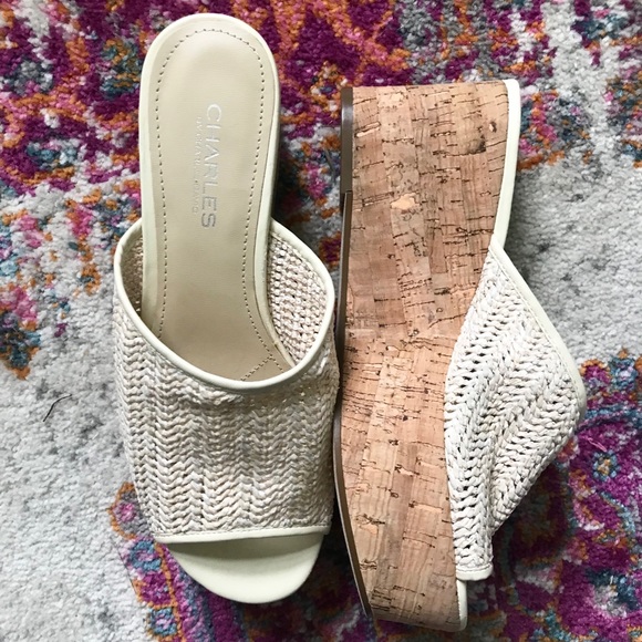 Charles David | Shoes | Charles David Platform Sandal | Poshmark